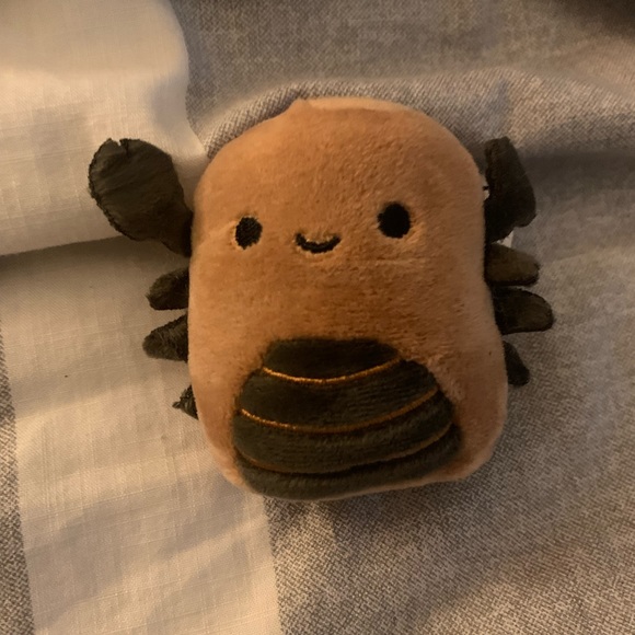 Squishmallows | Toys | Squishmallow Micro Mallow Desert Squad | Poshmark